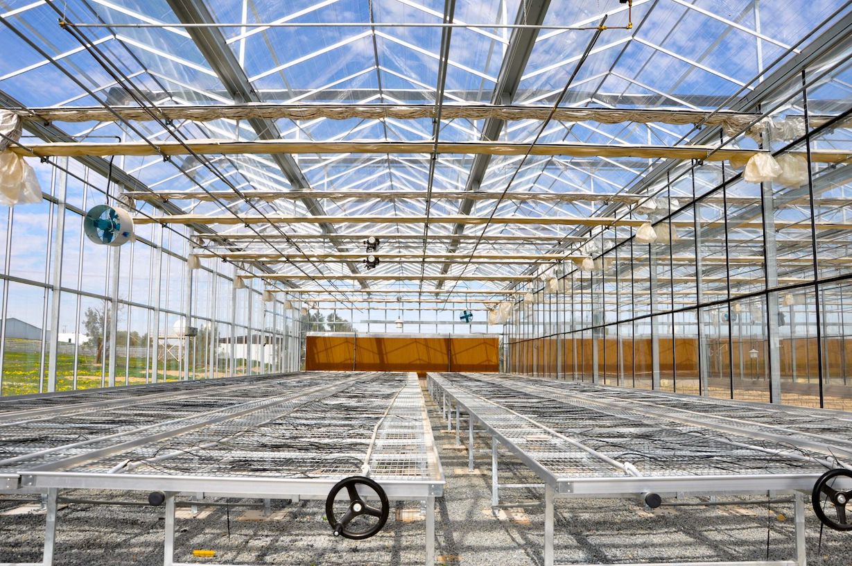 Evaluating IR Reflective Glass