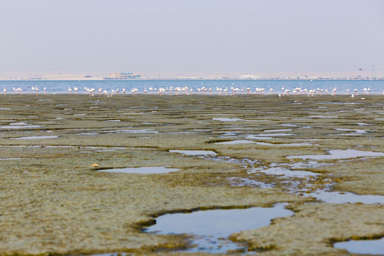 Extension of Kuwait's Emergency Outfalls