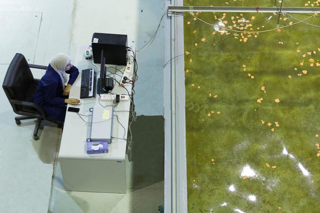 Integrated Coastal Zone Management